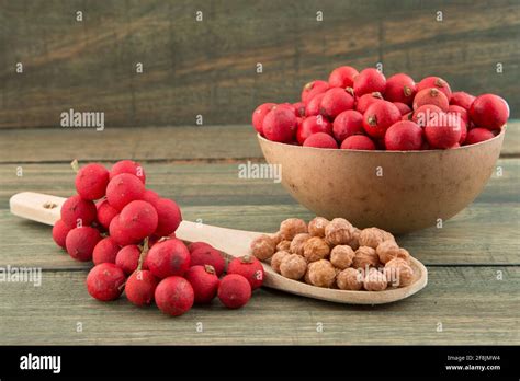 Corozo Tropical Fruit Bactris Guineensis The Can Píritu Güis Coyol Or Uvita Corozo Is A
