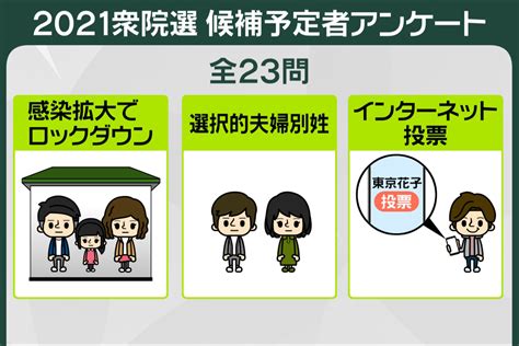100 衆院選 “違いが見える”候補予定者アンケート｜プライチ｜news Zero｜日本テレビ