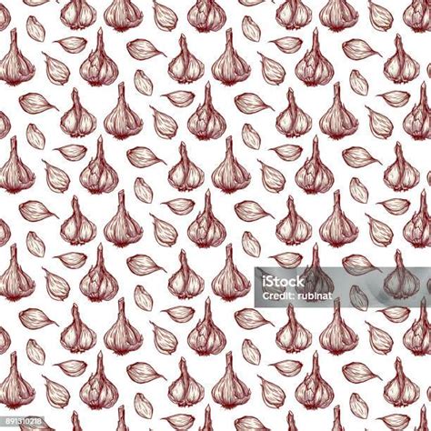 손으로 그린의 만든 꽤 화려한 완벽 한 패턴 Separeted 및 전체 정 향 마늘 가을에 대한 스톡 벡터 아트 및 기타 이미지 가을 건강한 생활방식 건강한 식생활