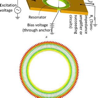 Normalised Radial Displacement Of The Resonator Nodes Versus The Download Scientific Diagram