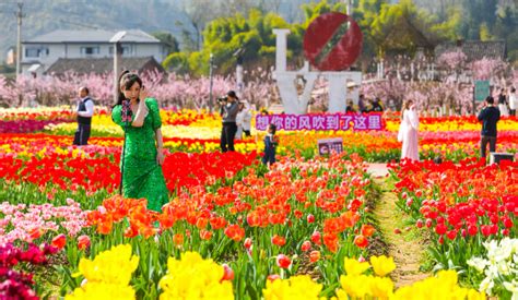 图片新闻垫江：文旅融合“一盘棋” 绽放美丽“花经济” 重庆日报网