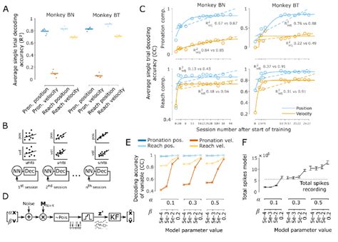 Neural Latent Space Evolved As Kinematic Latent Variables A