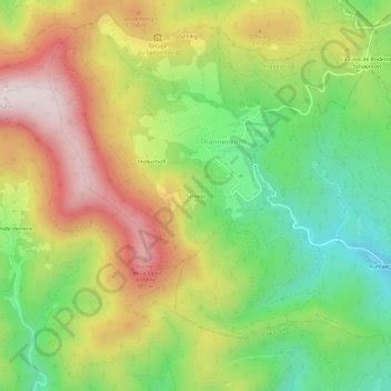 Schwyzの地形図標高地勢