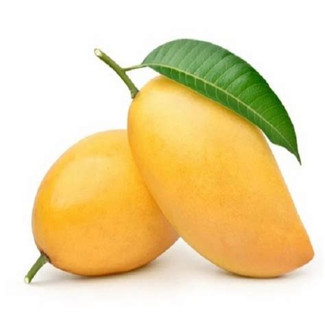Hapus Alphonso Mango At ₹ 100 Kg अल्फांसो आम In Kalyan Id