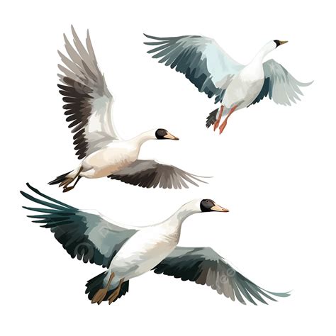 Migrating Geese Clip Art