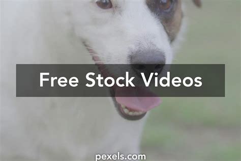 Leggingstwerk Videos Download The Best Free 4k Stock Video Footage And Leggingstwerk Hd Video Clips