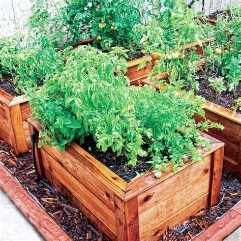 Raised Bed Vegetable Garden Drip Irrigation Gardeners