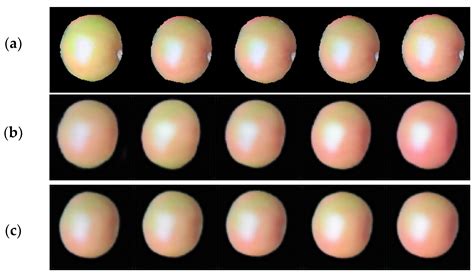 Research On Multi Step Fruit Color Prediction Model Of Tomato In Solar