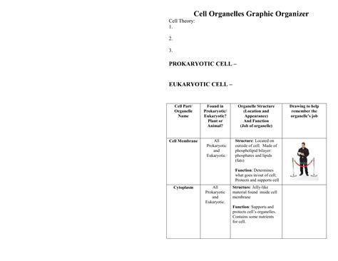 Cell Organelles Graphic Organizer — Db