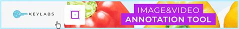 How To Choose Image Annotation Tool For Data Annotation Project Keylabs