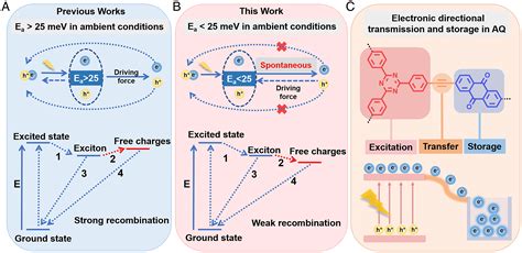 Exciton Recombination
