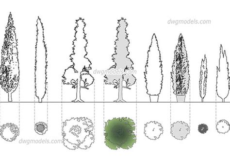 Trees And Plants DWG Models CAD Drawings Free Download Page 3