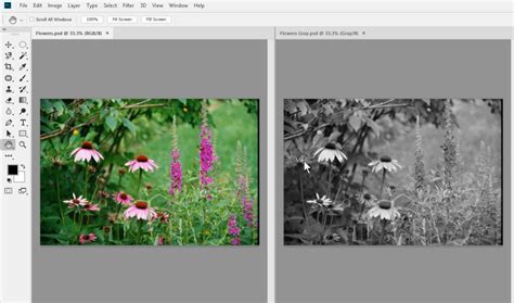 How To Use Duotone Mode In Photoshop Skillforge