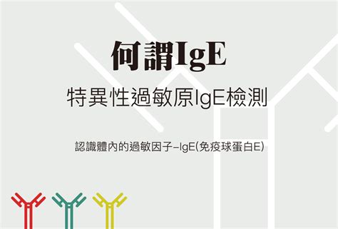 認識體內的過敏因子ige 高禾醫院 健檢中心 高雄健康檢查推薦