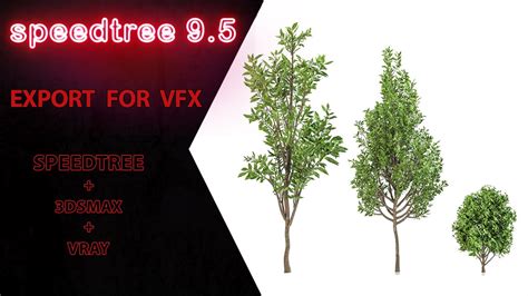 Speedtree Tutorial Export To 3dsmax Youtube