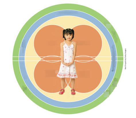 Chapter Terms Diagram Quizlet