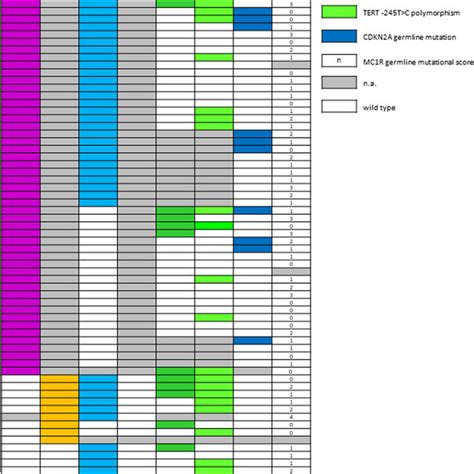 Combining Results Of Germline And Somatic Analysis Obtained In The