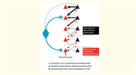 Adapted From Kolesh Et Al 2019 Shows The Hierarchy Of Active