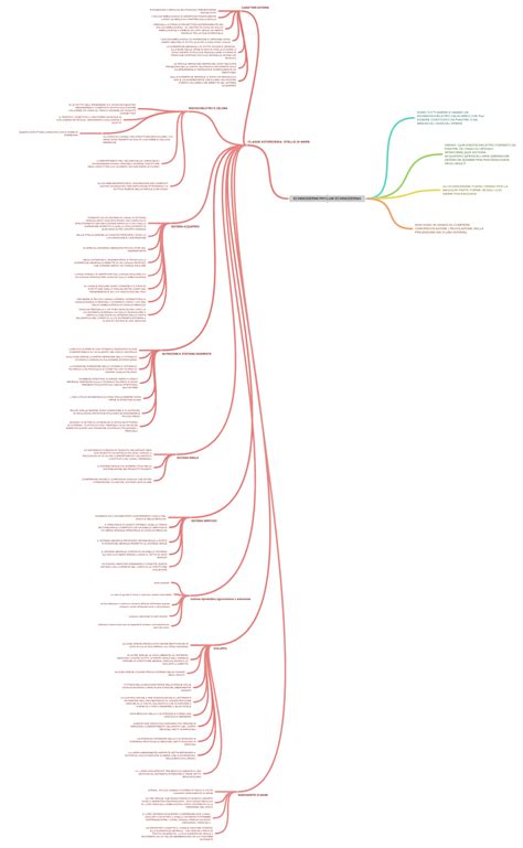 Echinodermiphylum Echinoderma Coggle Diagram