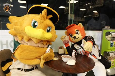 台鋼雄鷹吉祥物takao獲得好友支援！統一獅萊恩前往高雄街頭造勢 運動 Nownews今日新聞