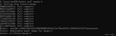 Docker 安装mongo数据库docker安装mongo Csdn博客