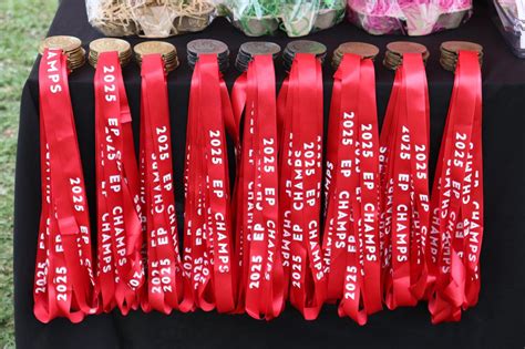 Framesby Ondersteuners Framesby Ondersteuners Vereniging