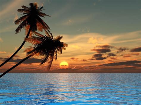 Caribbean Beach Sunset Wallpapers Top Free Caribbean Beach Sunset