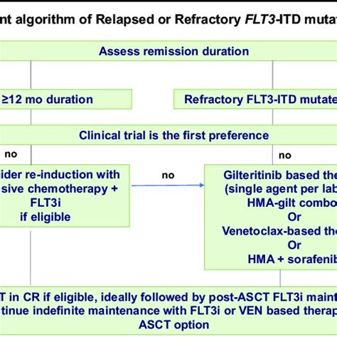 Pdf Flt3 Mutated Acute Myeloid Leukemia 2021 Treatment Algorithm