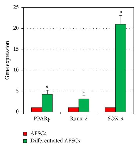 Gene Expression Of Disc Stem Cells And Disc Fibroblasts Cultured With