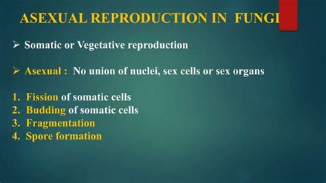 Asexual Reproduction In Fungi Dr C R Meera Ppt
