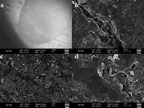 Example Of Sem Images Wear Surface Of Composite Material Exposed To