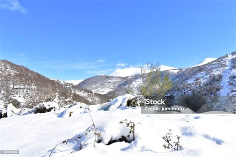 눈 덮인 산 숲과 푸른 하늘도로 겨울 풍경 안케어 루고 갈리시아 스페인 0명에 대한 스톡 사진 및 기타 이미지 0명 갈리시아 겨울 Istock