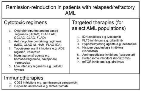 Treatment Modalities Employed For Remission Reinduction In Relapsed Refractory Aml A Review Of