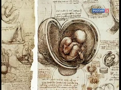 Леонардо да Винчи Святая Анна с Младенцем Христом Мост над бездной Паолы Волковой выпуск