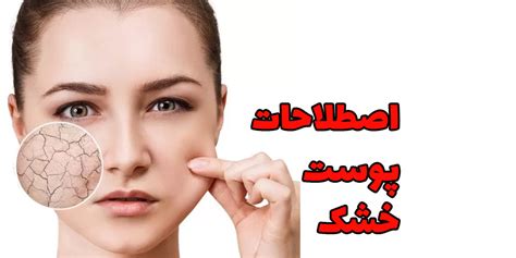 اصطلاحات پوست خشک آکادمی احسان حسنانی