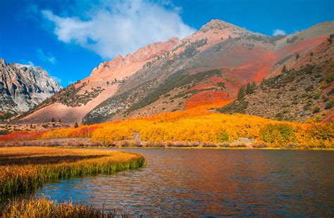 Eastern Sierra Fall Foliage California Fall Color North L… Flickr