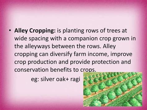 Multiple Cropping Systems Pptx Agriculture Industries