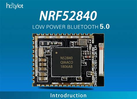 Holyiot 18010 Nordic Nrf52840 Bt5 Module Low Energy For Ble Mesh Buy