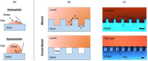 Surface Topography And Surface Energy Determines Wenzel Or Download Scientific Diagram