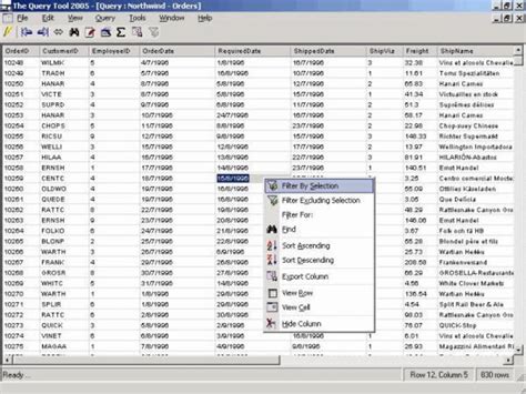 The Query Tool 2005 Download