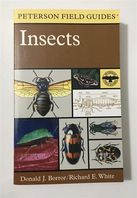 Libro Peterson Field Guides Insects Borror White Entomolab Mx