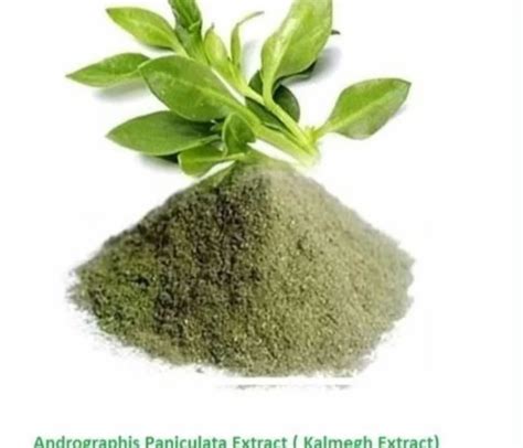 Kalmegh Andrographis Paniculata Extract At Rs 725 Kg Dry Extracts In Sas Nagar Id 25318999091
