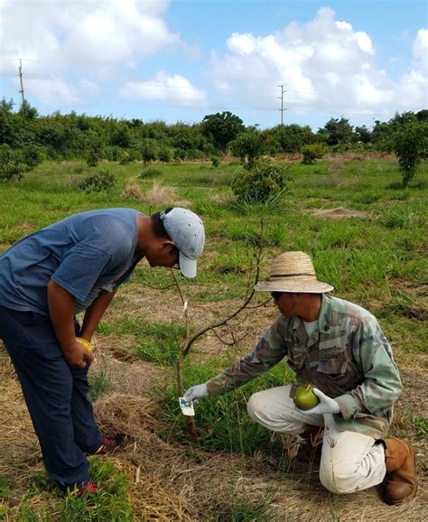 Usda On Linkedin Usda Announces 22 Million To Support Underserved And Veteran Farmers And…