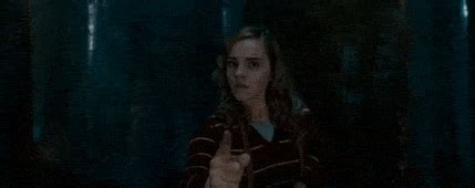 We Love Harry Potter