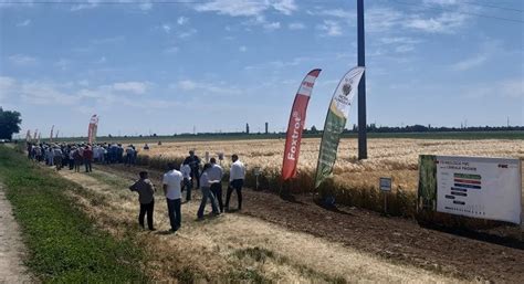 „ziua Grâului şi Orzului” La Institutul Naţional De Cercetare