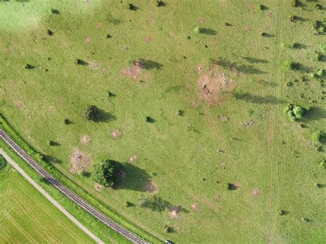 Bridging The Gap Linking Biodiversity Ecosystem Functioning Experiments To Real World