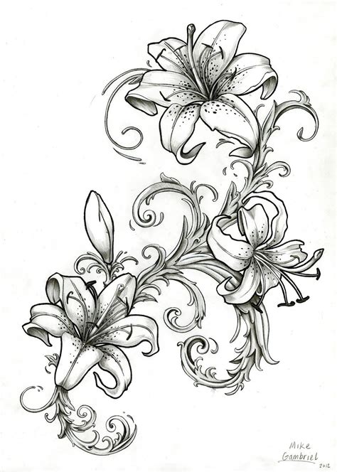 Lily Flower Drawing Outline At Anton Thomas Blog