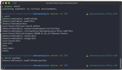 Python Virtualenv Are Activated Before Shims Thereby Making Them Unreachable · Issue 62