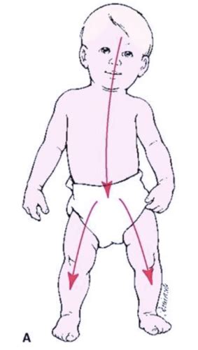 Week 3 Infancy Physical Neural Cognitive Social Emotional Flashcards Quizlet