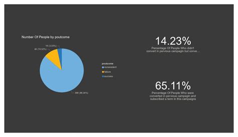 Power BI Data Analysis Project Using Bank Data AliShafaghi Digital Data Driven Marketing